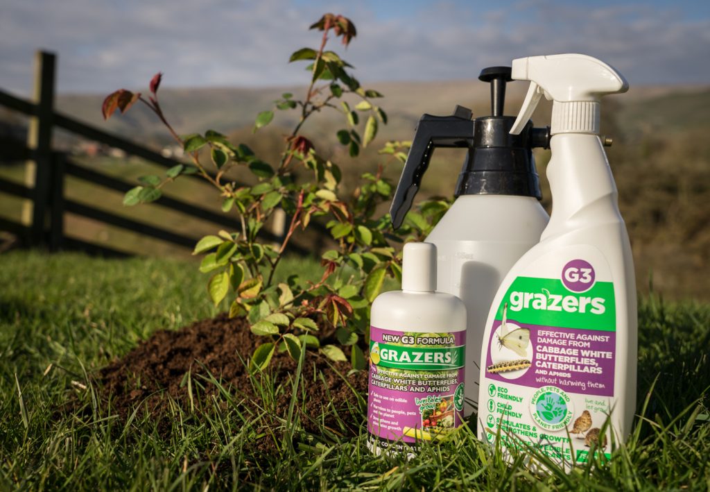 GroGreen’s content, activity, outcomes & benefits summarised