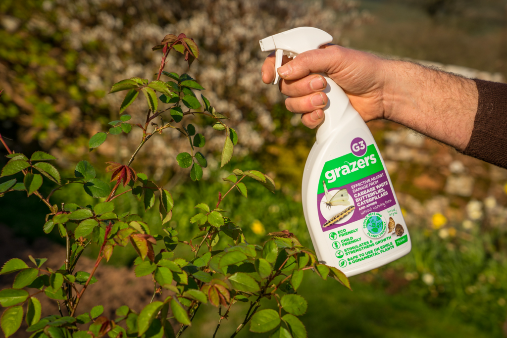 The Four Grazers Products | Grazers